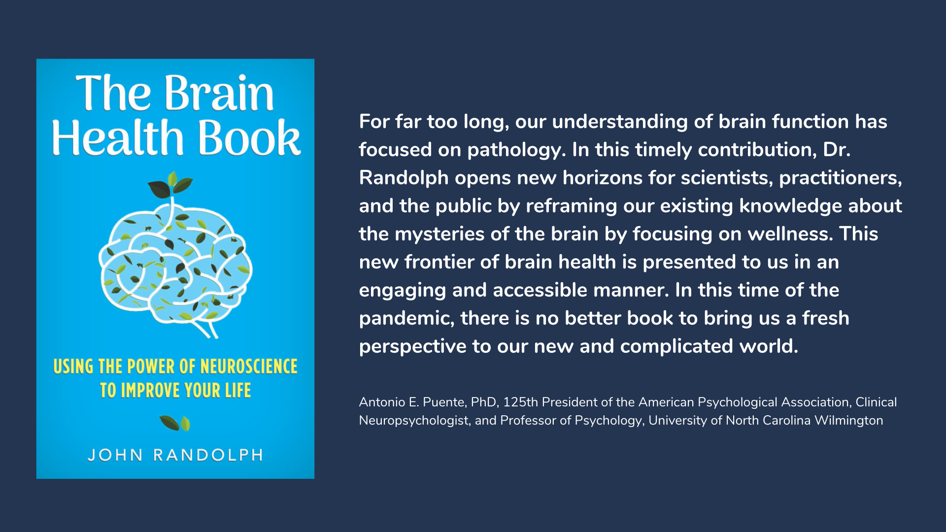 The Brain Health Book